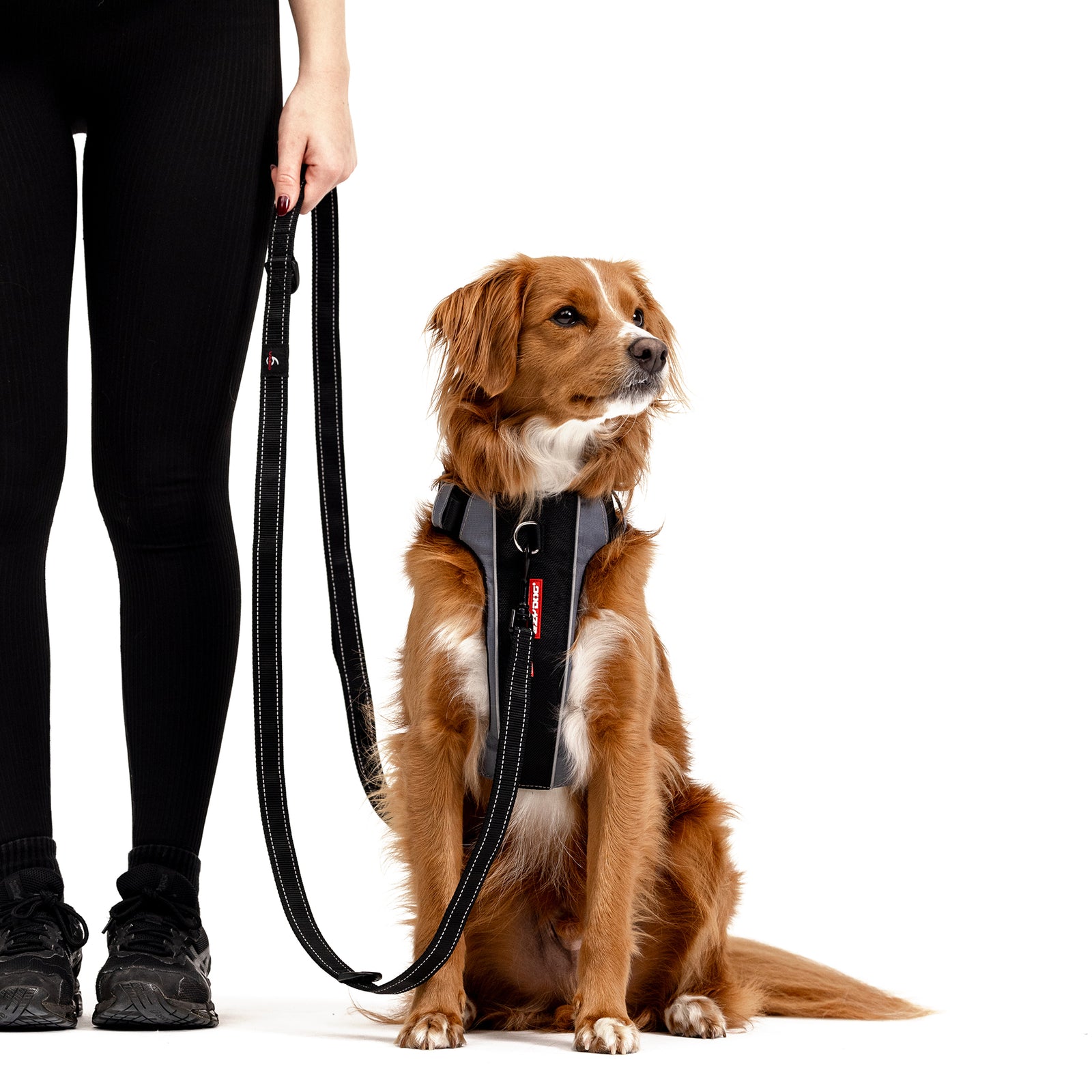 Vario 6 Leash | 6-in-1 Multi-Function Dog Lead