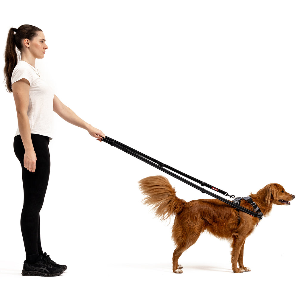 Vario 6 Leash | 6-in-1 Multi-Function Dog Lead