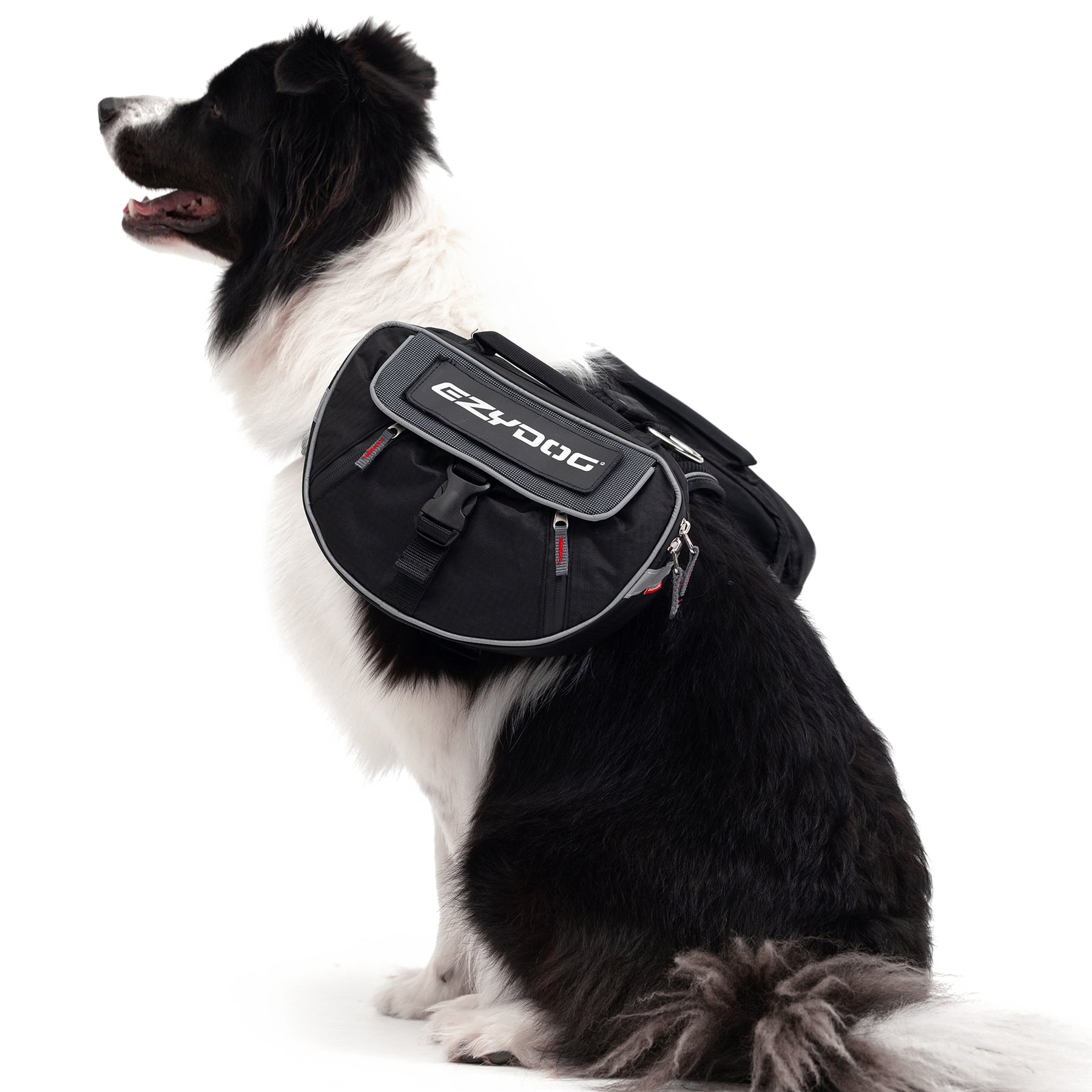 Dog Backpacks – Secure Fit, Built Strong, All-Weather Ready