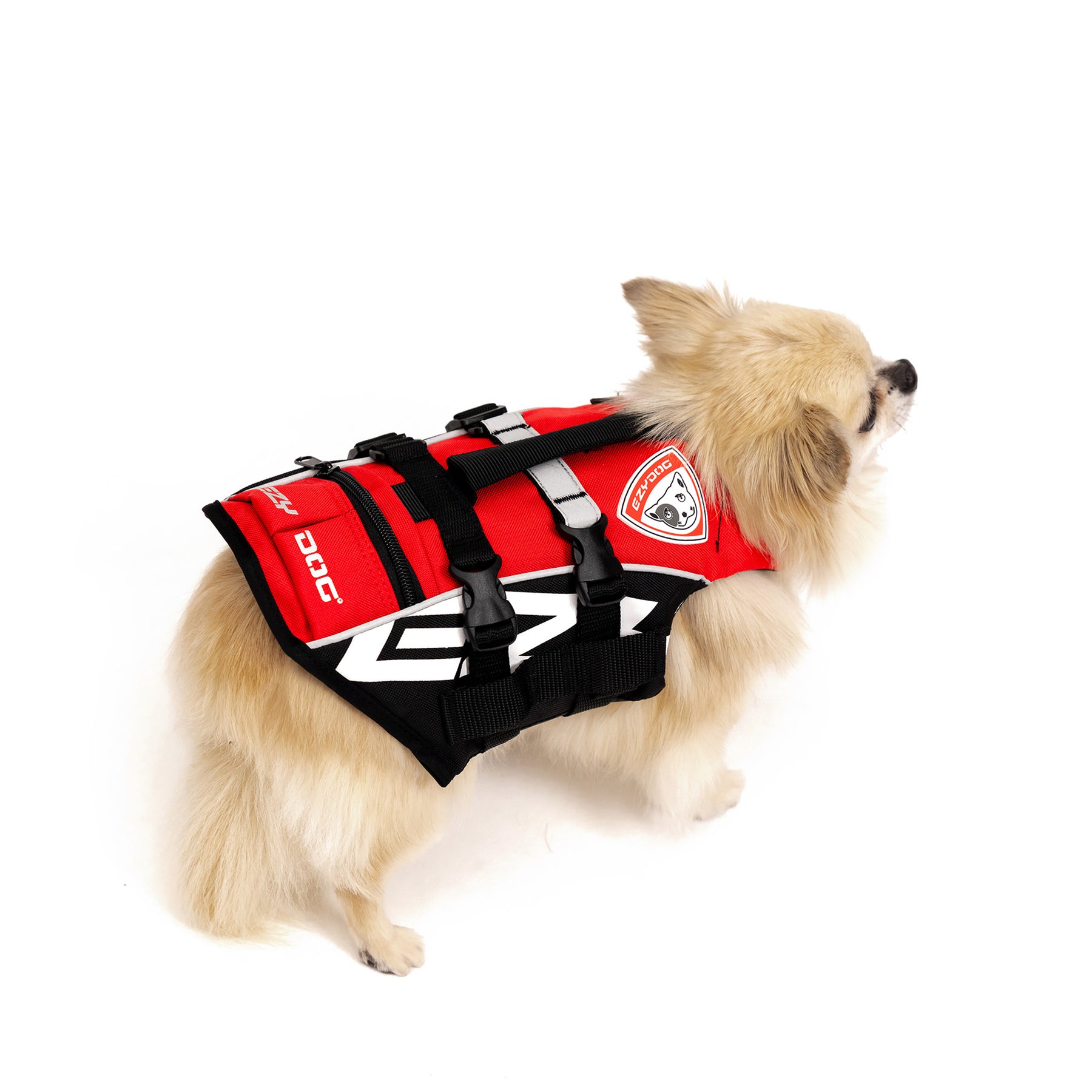 Dog Life Jacket - Safe and Comfortable Swim Gear | EzyDog
