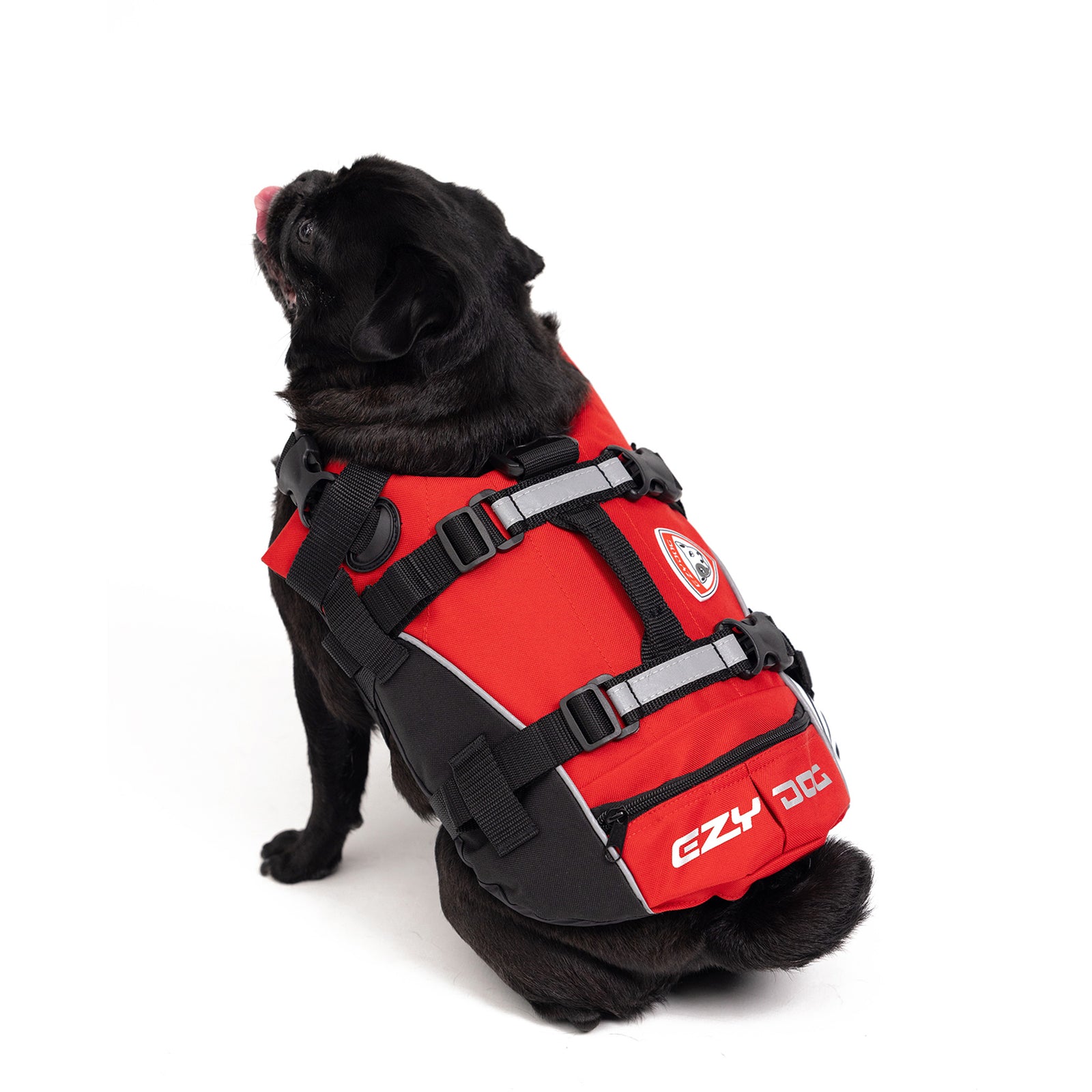 EzyDog DFD Standard | Dog Life Jacket & Flotation Device Australia