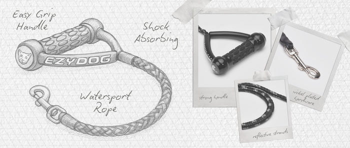 30 Years of EzyDog - Products That Started It All