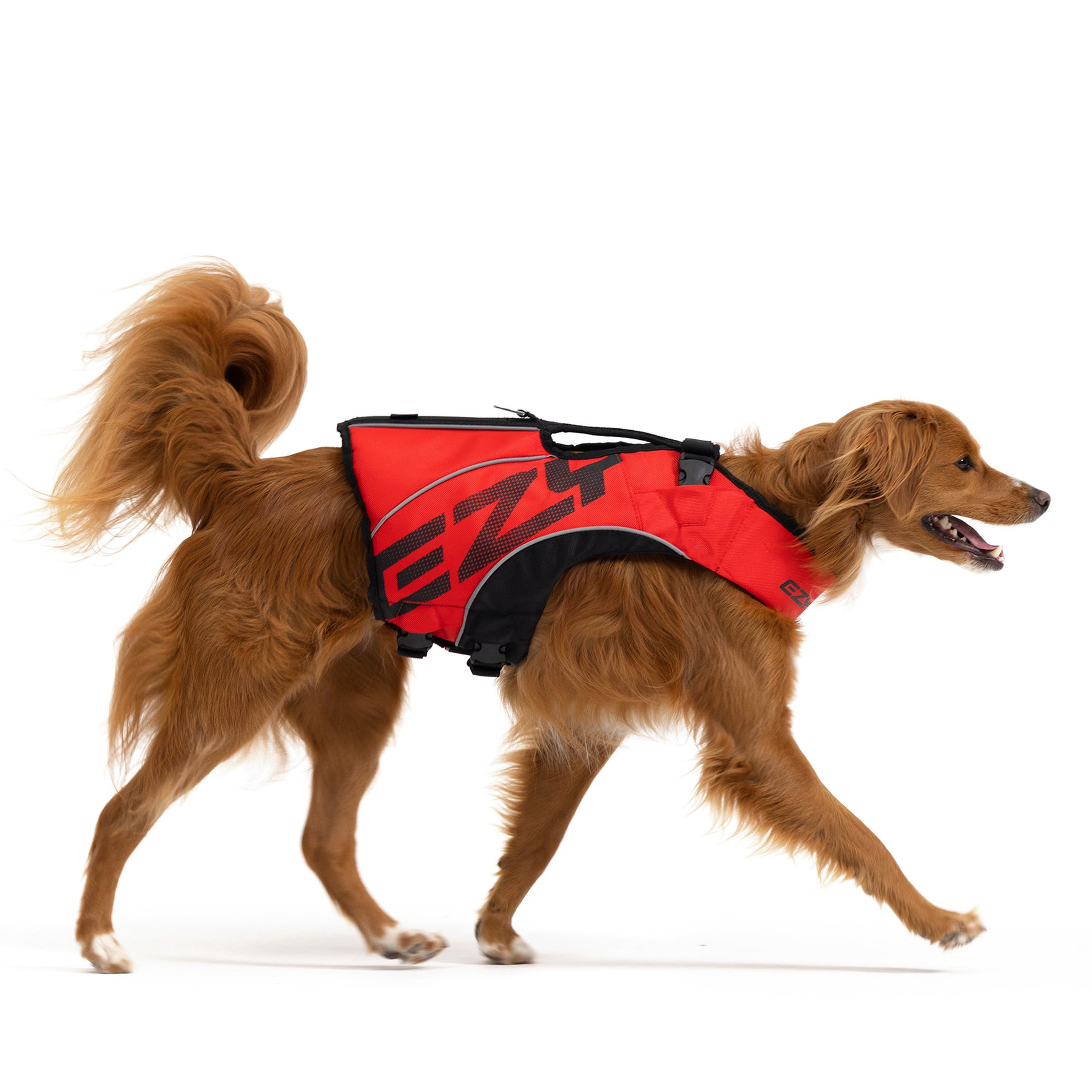 Dog Life Jacket - Safe and Comfortable Swim Gear | EzyDog