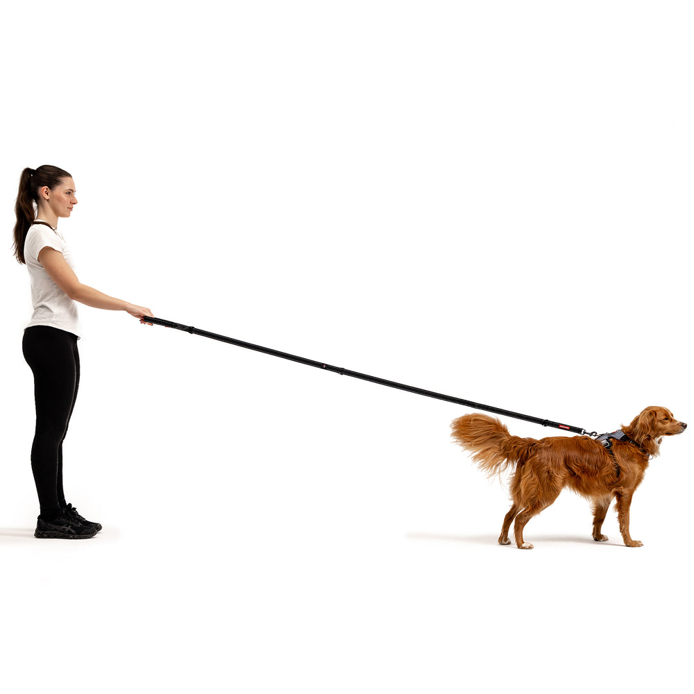 Vario 6 Leash | 6-in-1 Multi-Function Dog Lead