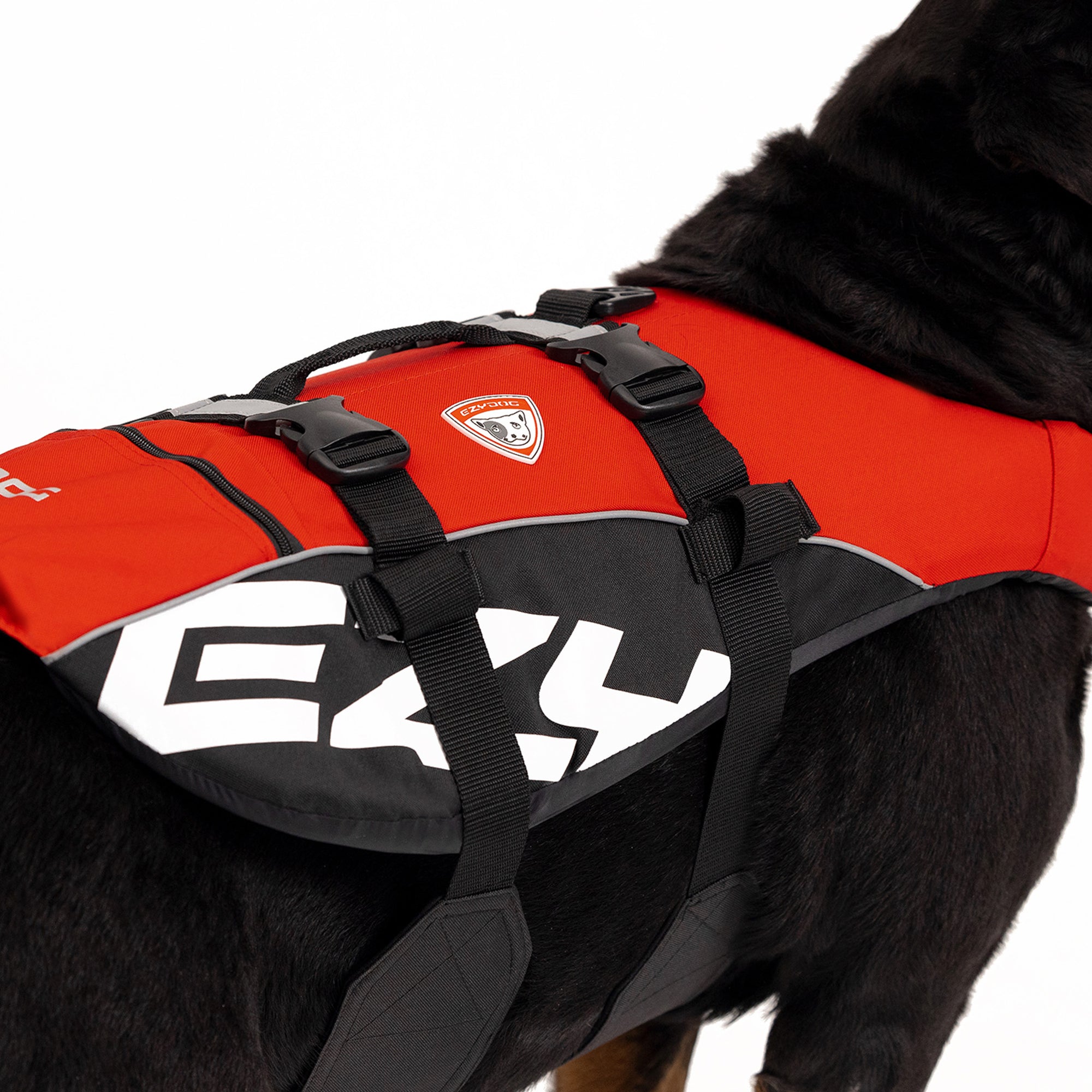 EzyDog DFD Standard | Dog Life Jacket & Flotation Device Australia