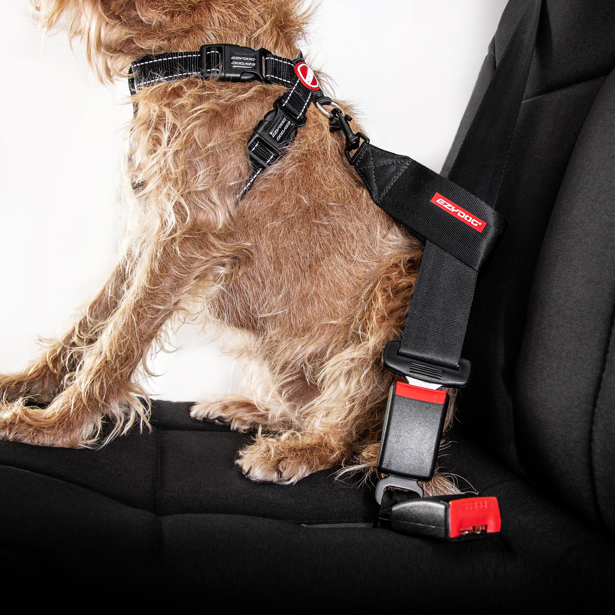 Car Seat Attachment | Dog Car Restraint Australia