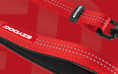 Essential Range | Everyday Dog Essentials for All Adventures
