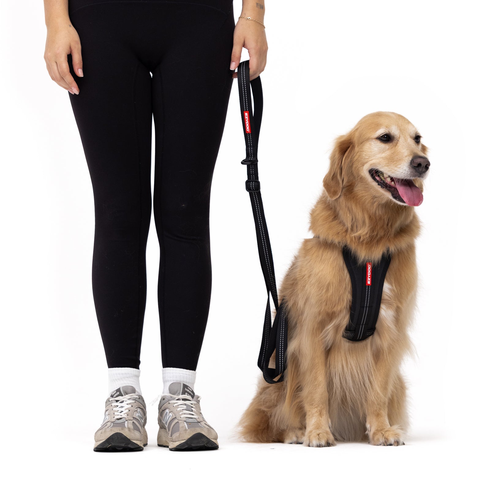 Essential Leash | Adjustable Everyday Dog Lead