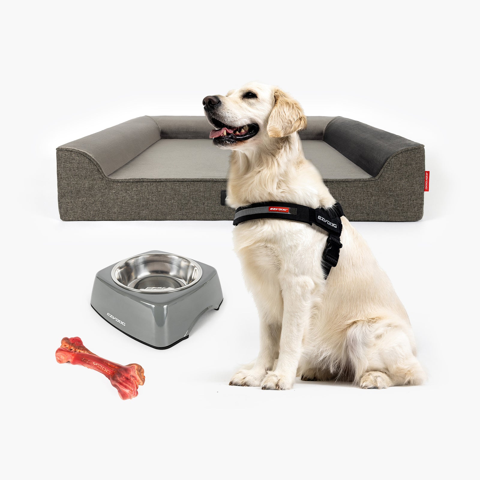 Premium Dog Accessories - Top Gear for Your Pets | EzyDog