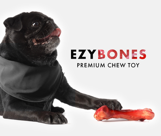 Premium Dog Accessories - Ezydog Australia