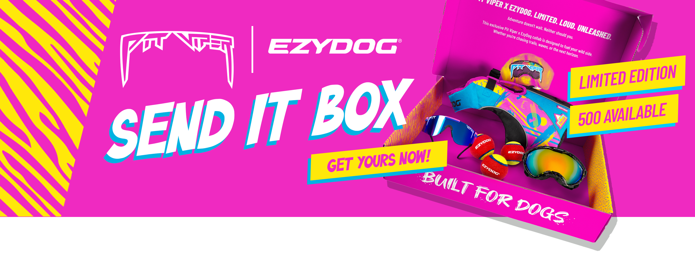 Premium Dog Accessories - Top Gear for Your Pets | EzyDog