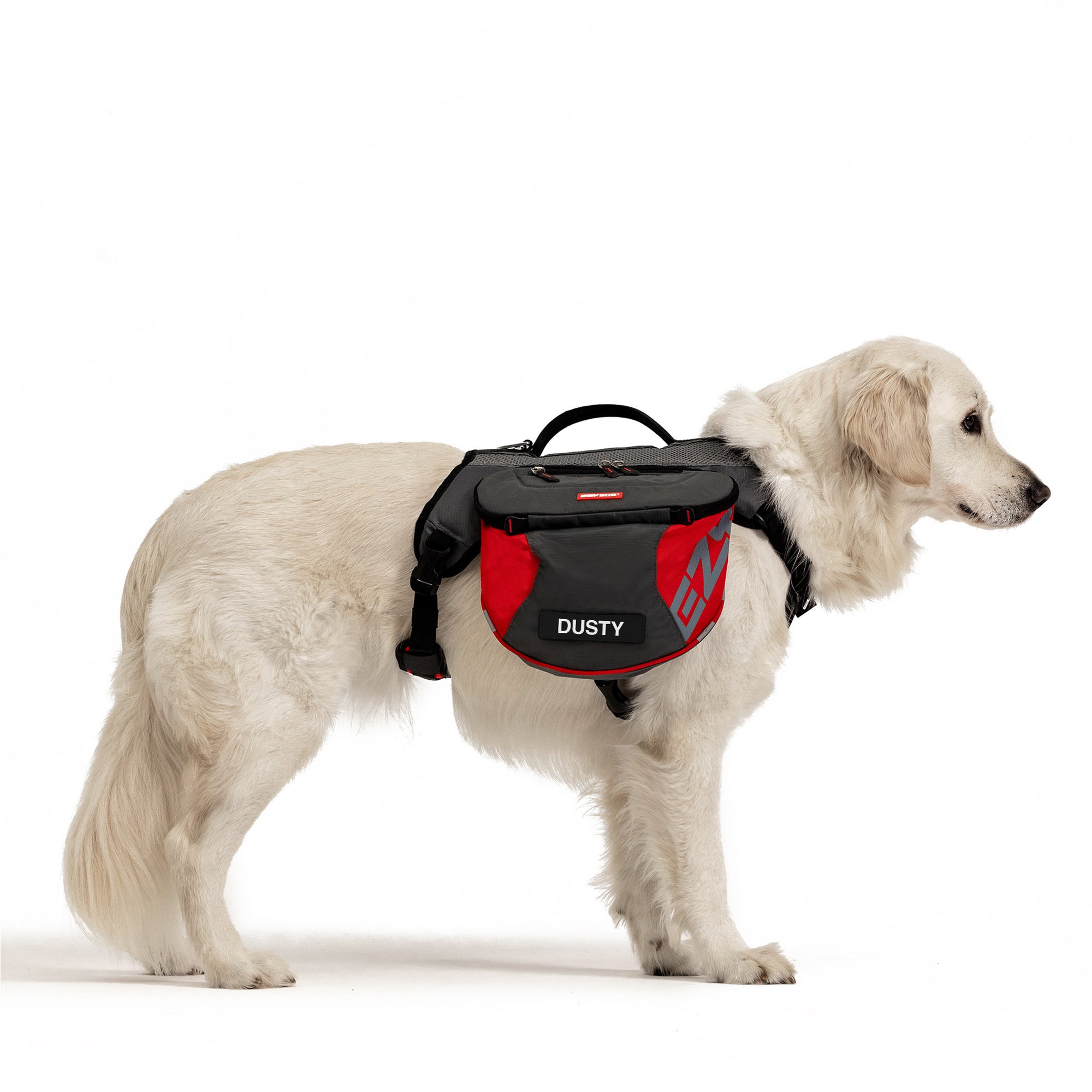 Personalised Dog Labels / Tags