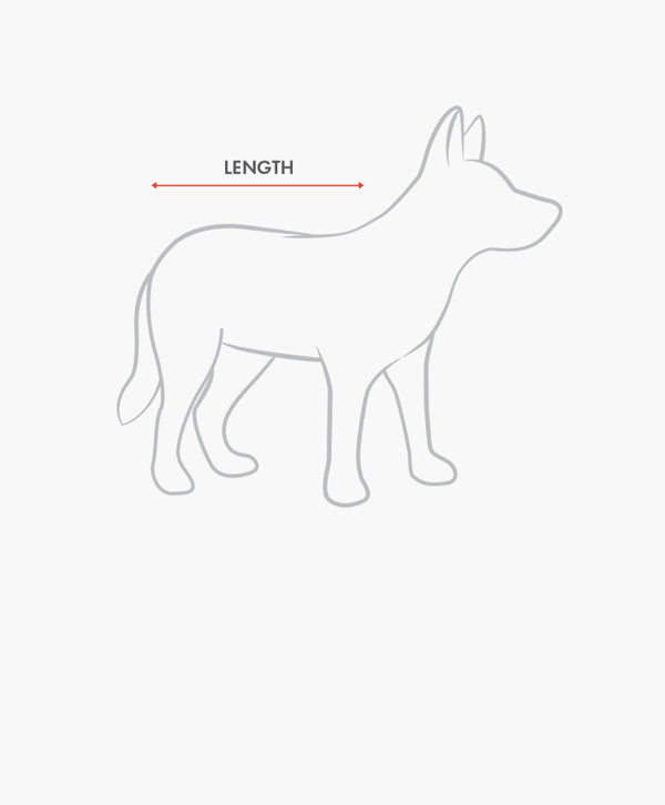 Dog Accessories Size Guide