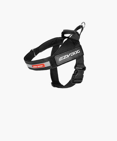 Dog Accessories Size Guide