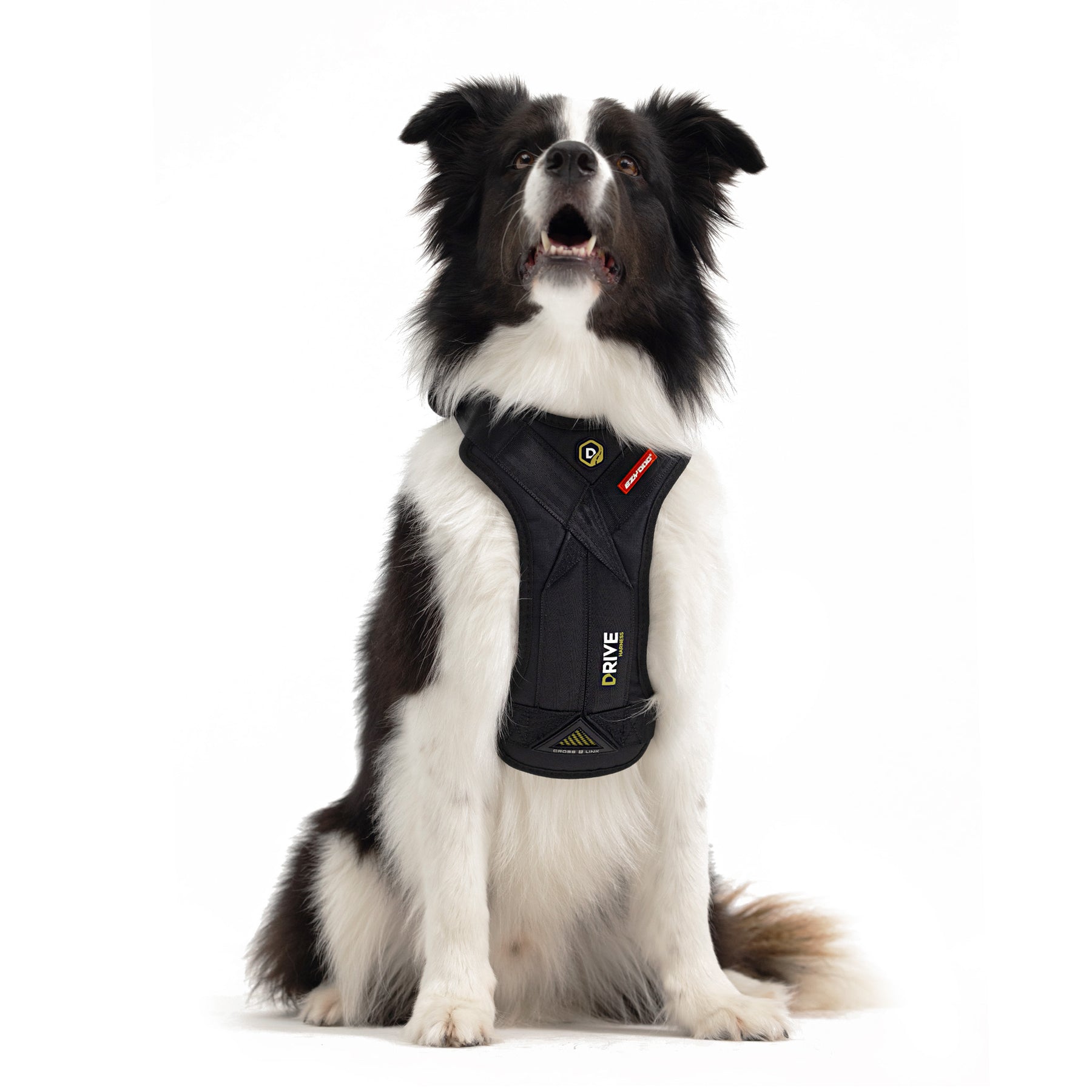 Dog Car Harnesses | Crash-tested for Safe Travel | Afterpay