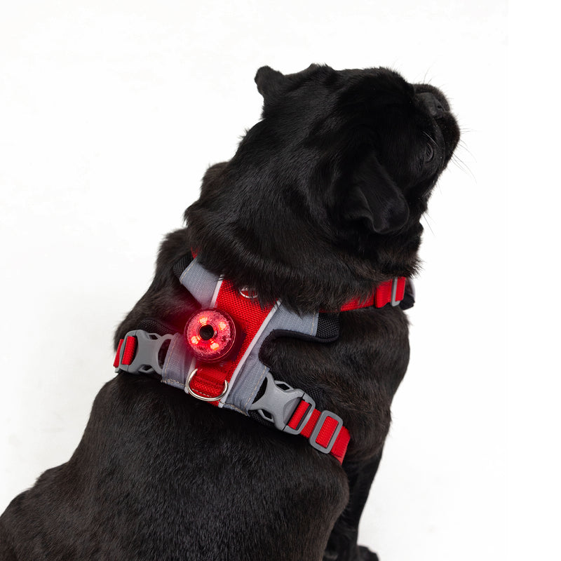 GO2 LED Light | Waterproof Rechargeable Dog Light